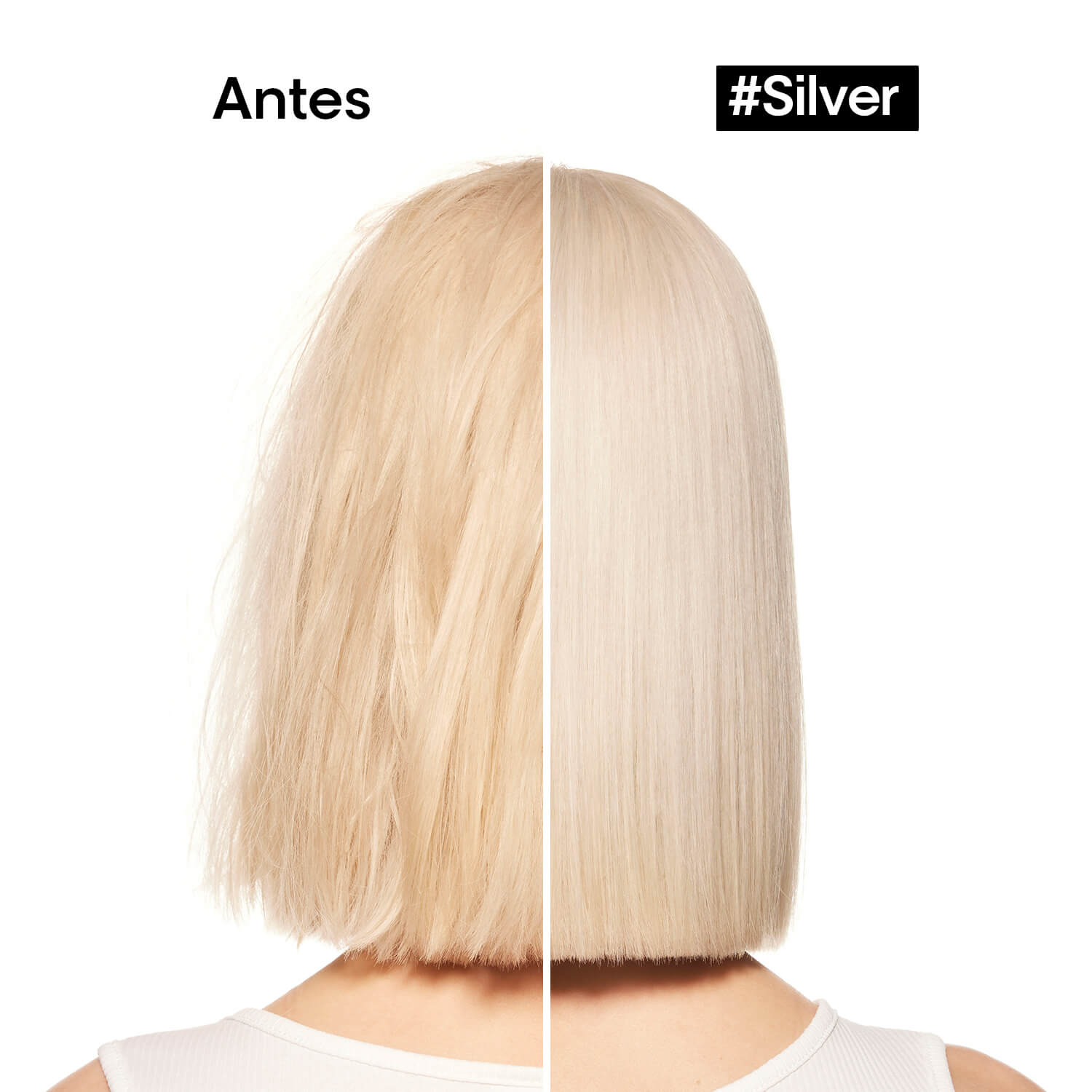 SHAMPOO SILVER (SHAMPOO PARA CABELLO GRIS, PLATINADO O CON CANAS ...