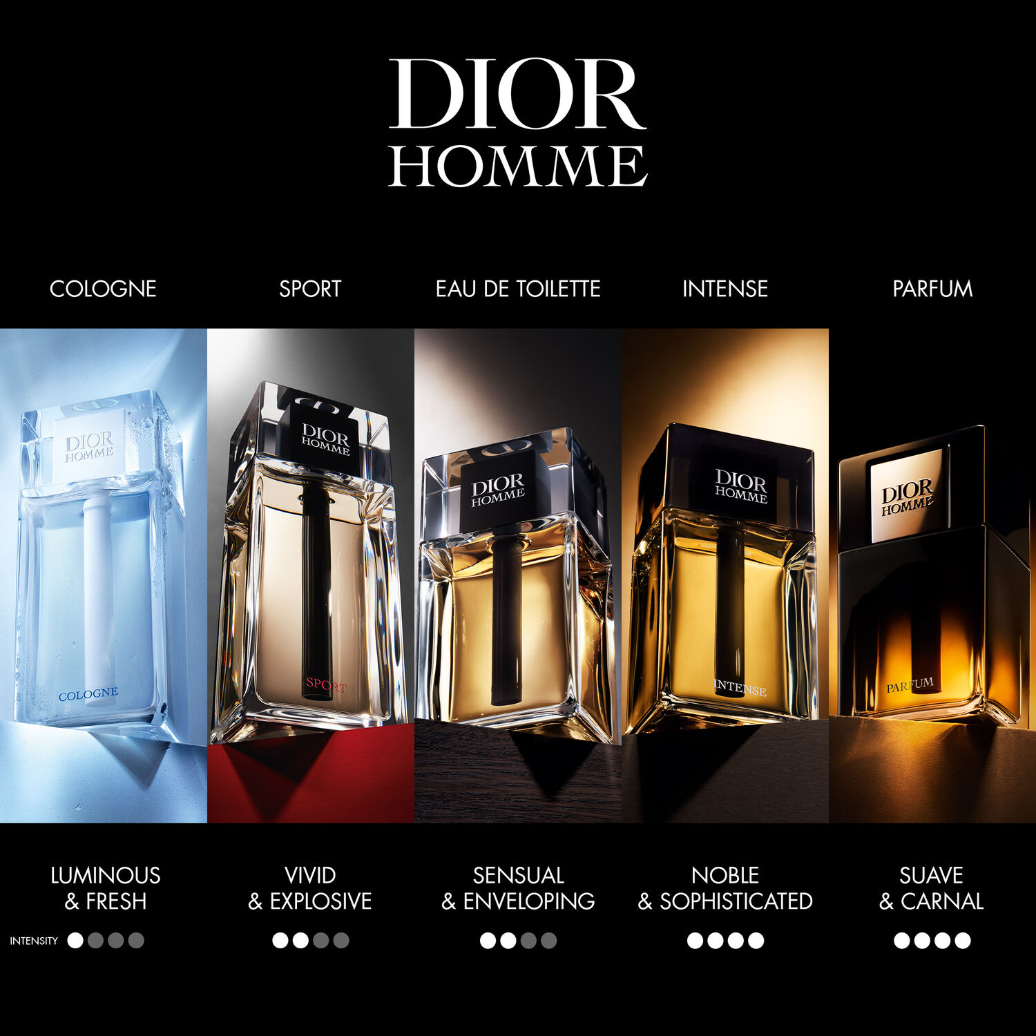 PERFUME DIOR HOMME ÁMBAR NOTAS AMADERADAS Y FLORALES > Sephora MX