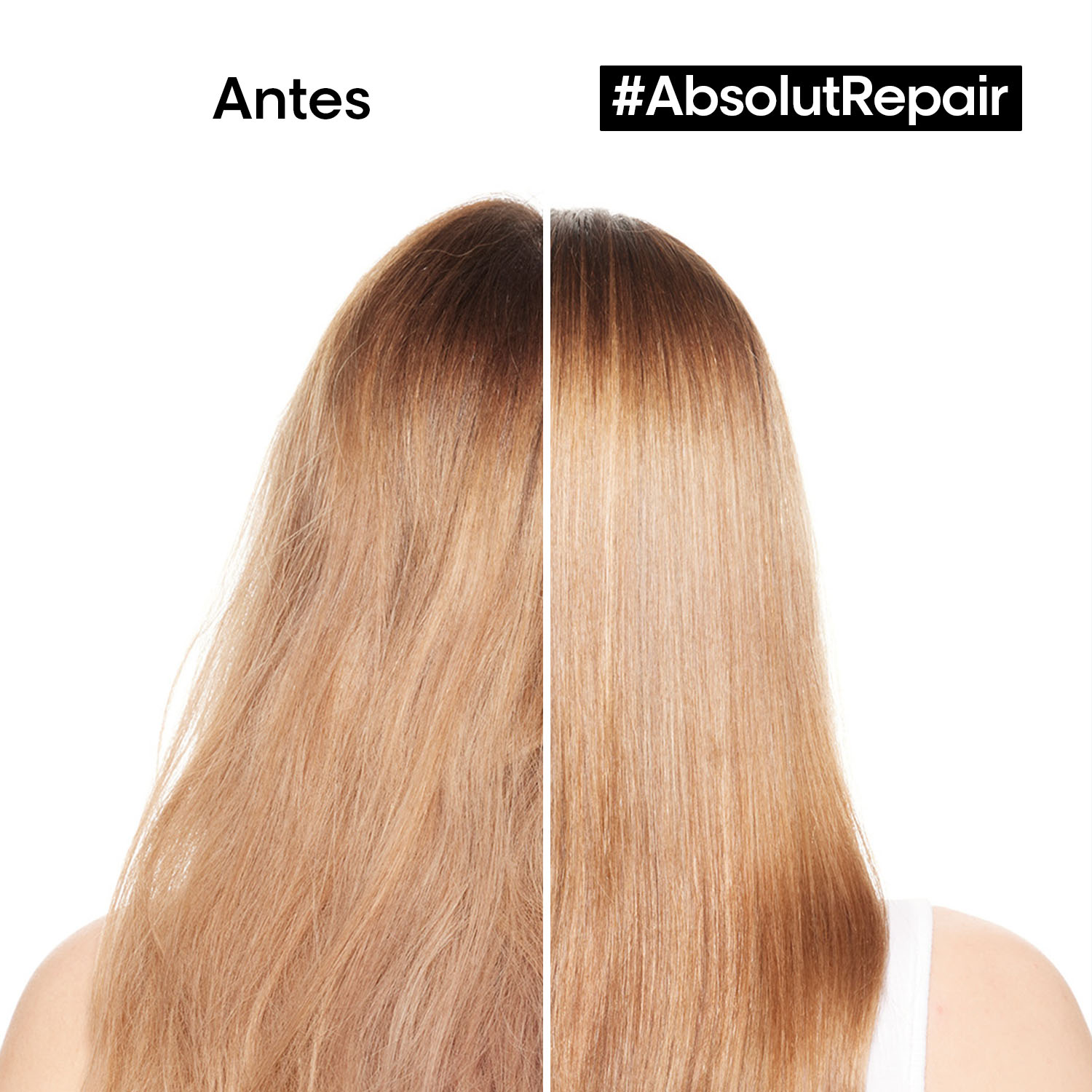 SHAMPOO ABSOLUT REPAIR (SHAMPOO REPARADOR) > Sephora MX