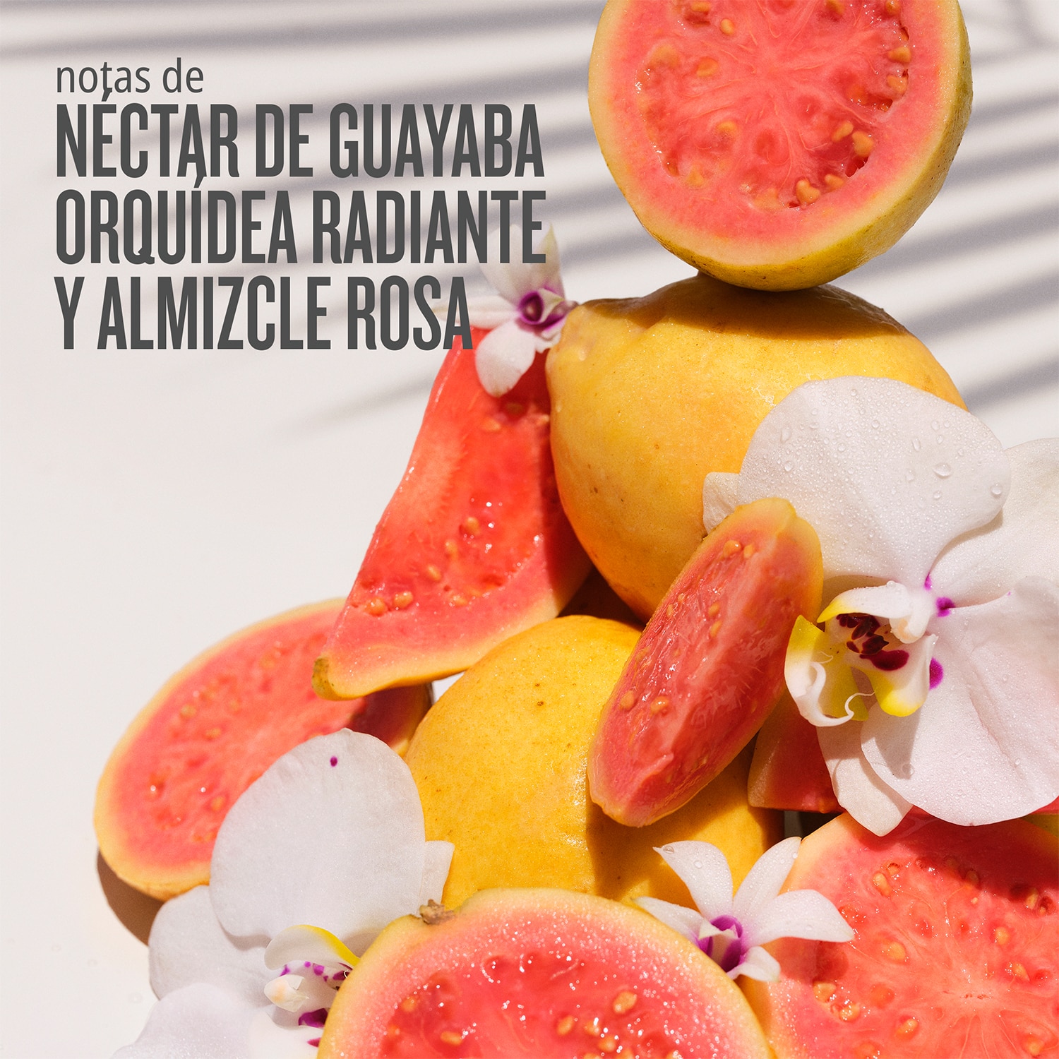 CHEIROSA 48 PERFUME MIST (FRAGANCIA CORPORAL) > Sephora MX